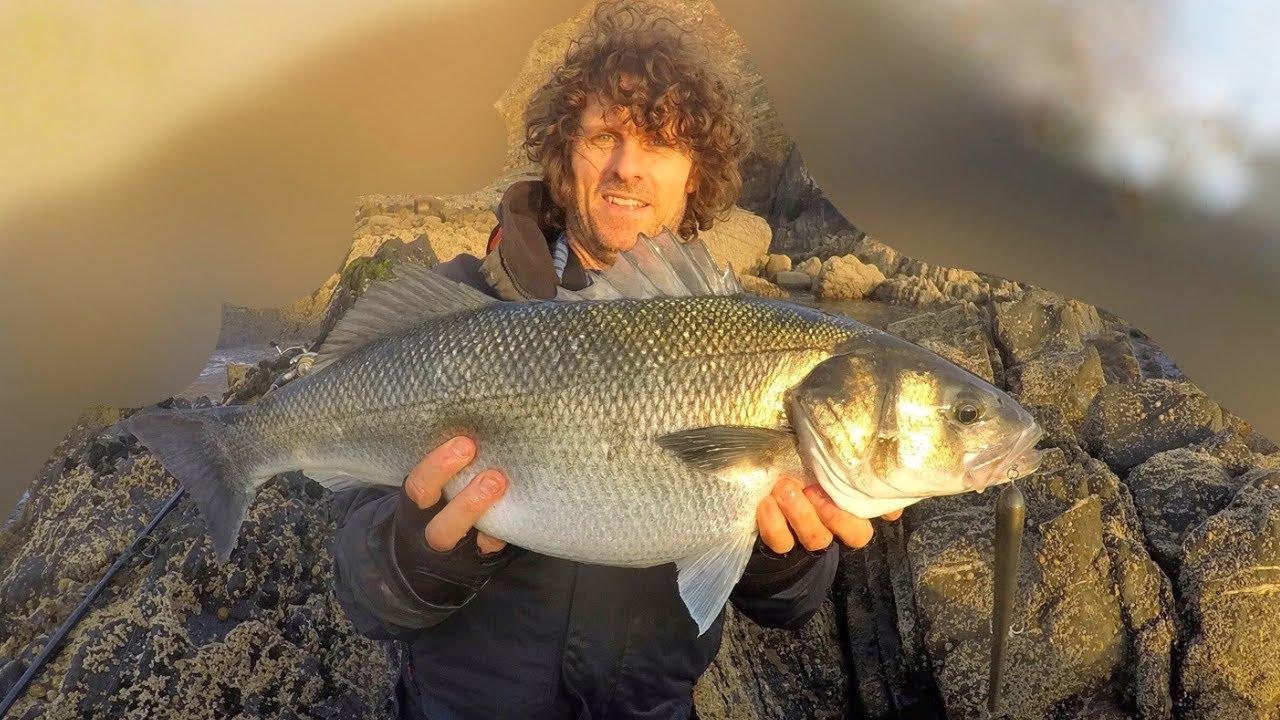 New Sea Bass Lures - Testing lures on double figure sea bass 2020 Part ...
