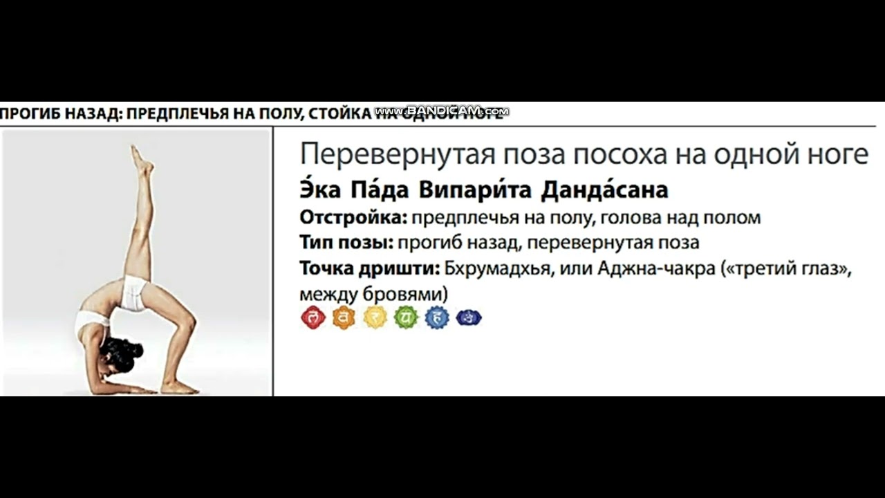 One-Legged Inverted Staff Pose - YouTube