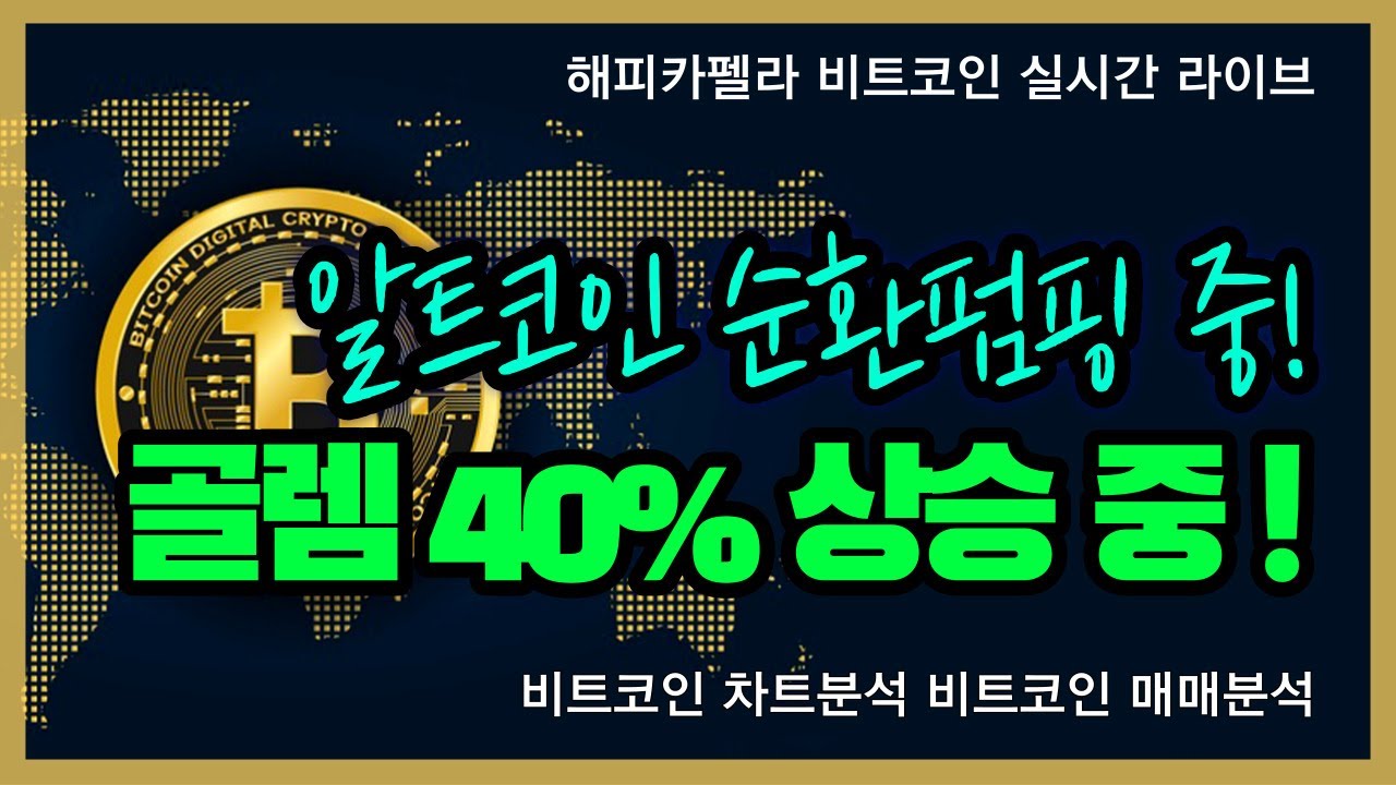 비트코인 실시간 골렘 40 펌핑 중 알트코인 순환펌핑 220 저녁💎 비트코인 비트코인실시간 이더리움 리플