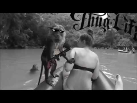 Efsane Thug Lifelar En Komikleri