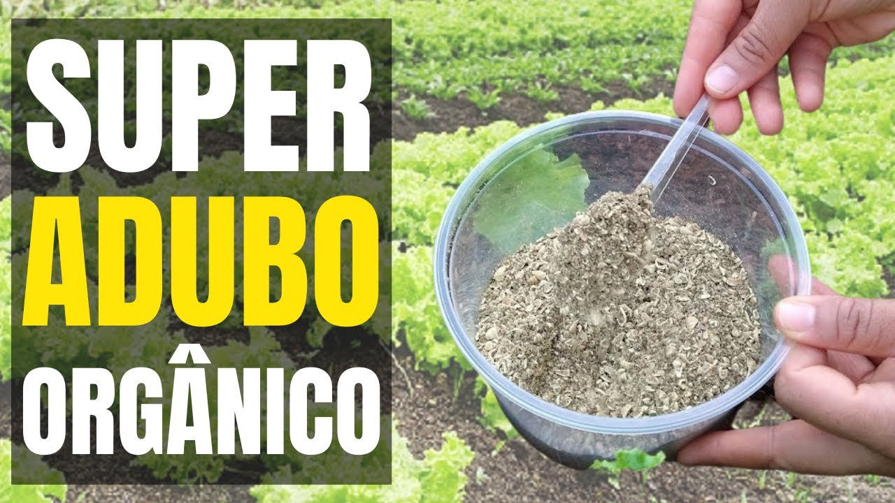Adubo Orgânico MAIS PODEROSO, Aprenda a Fazer! - YouTube