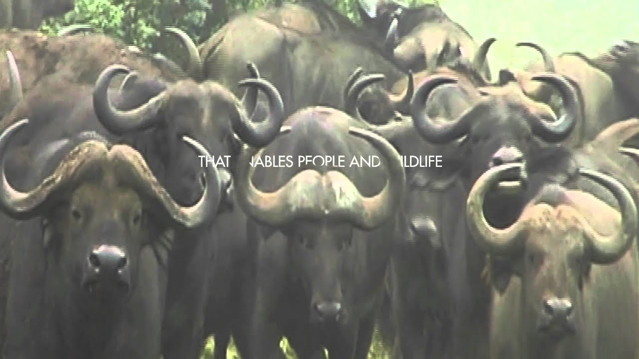 Mission and objectives of Rhino Ark - YouTube