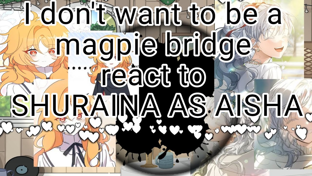 I DON'T WANT TO BE A MAGPIE BRIDGE REACT TO SHURAINA AS AISHA [1/2 ...