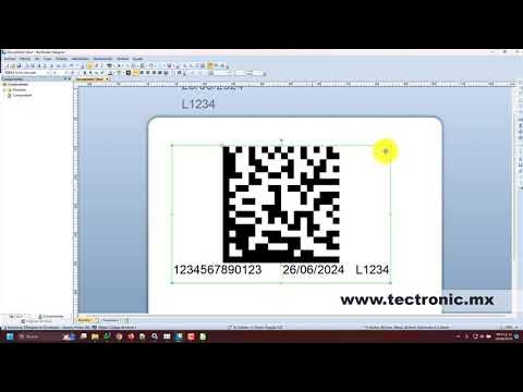 Tutorial Códigos 2D práctico para la Trazabilidad usando Bartender, ZPL, QR, Datamatrix y Code ...