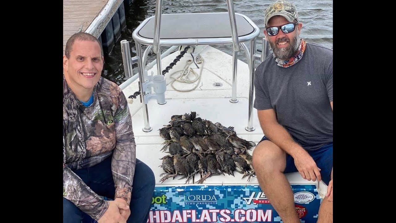 NE Florida Marsh Hen Hunt - YouTube