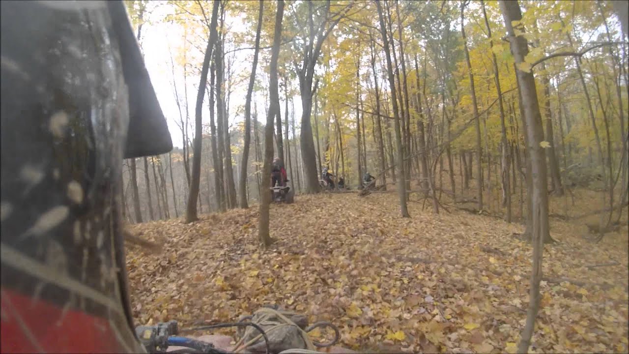 perry state forest 2014oct18 A - YouTube