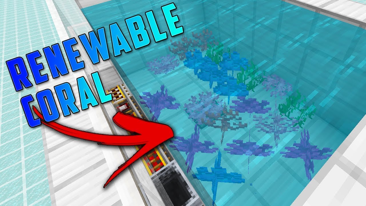Testing Minecraft Snapshot 18w31a Mechanics, Coral Farm - YouTube