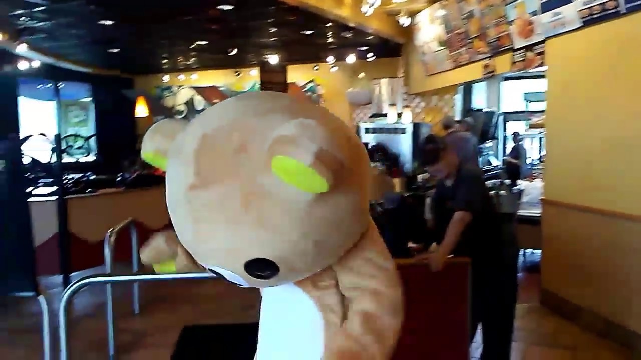 Taco bell teddy bear 🐻 - YouTube
