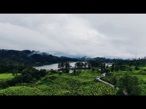 A 4K drone video showcasing the serene village of Ciwidey, Indonesia.