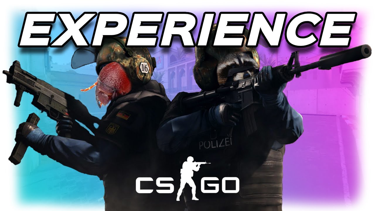 The CS:GO Experience - YouTube