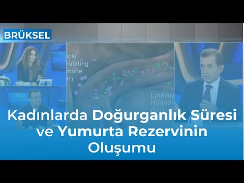 Kadında Doğurganlık Süresi ve Yumurta Rezervi Oluşumu (Prof. Dr. Yücel Karaman)