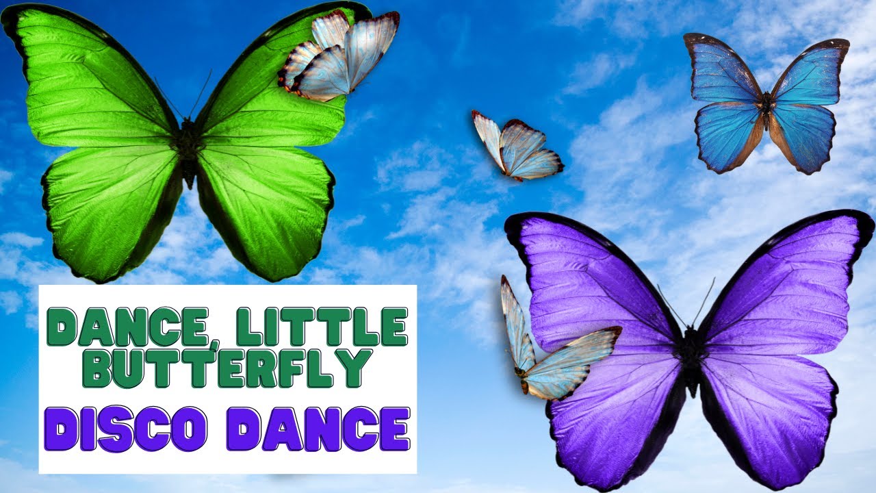 Dance Little Butterfly - Disco Dance - YouTube