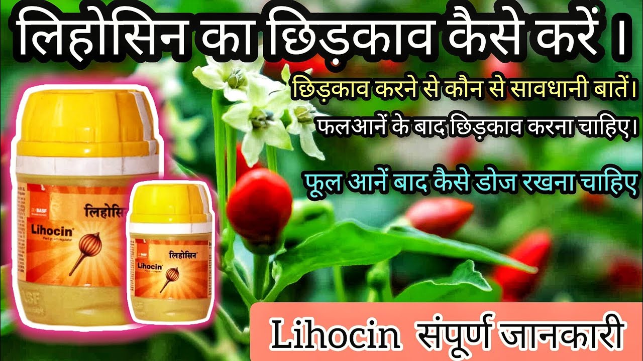 basf lihocin tonic |lihocin in uses Hindi|lihocin 250ml price|lihocin ...