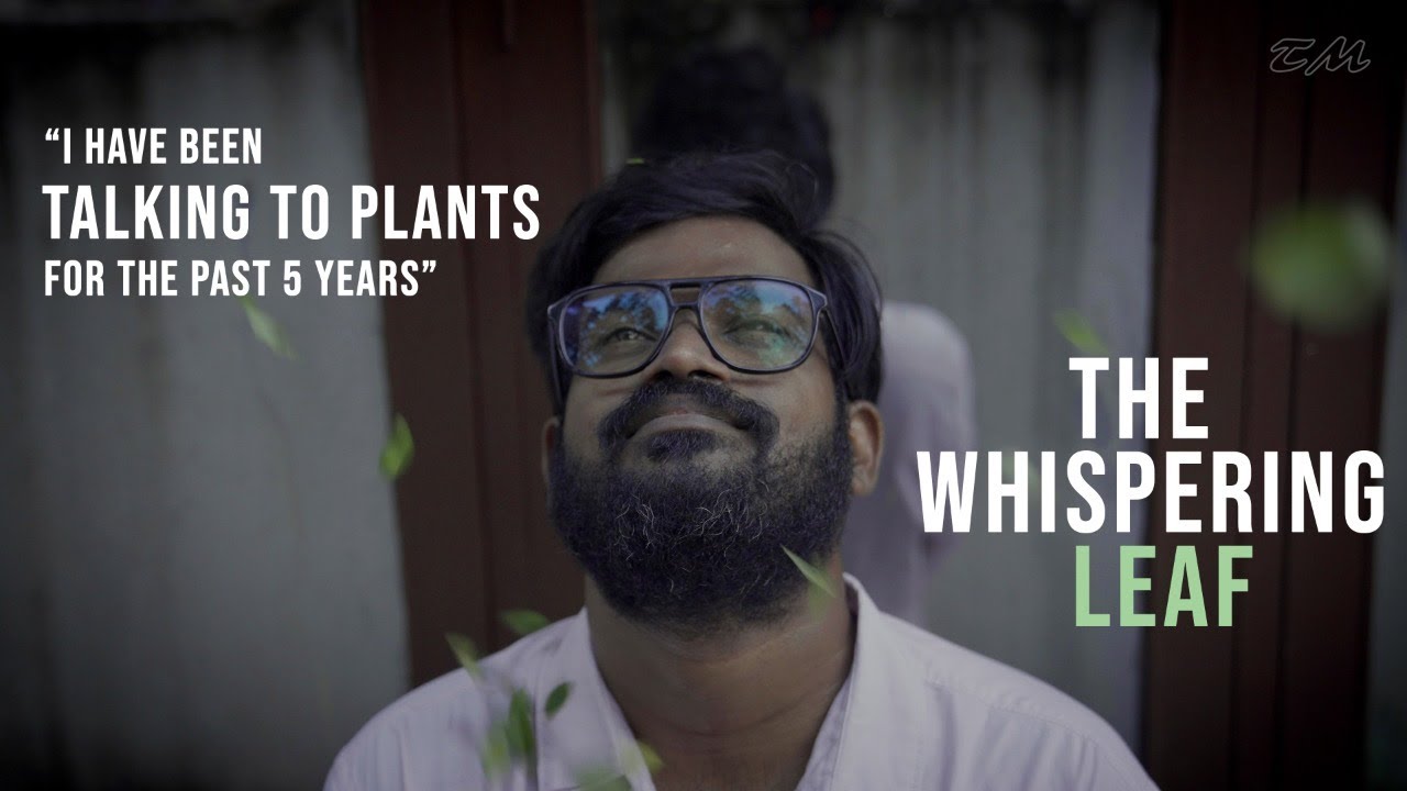 The Whispering Leaf | TM Documentary | - YouTube