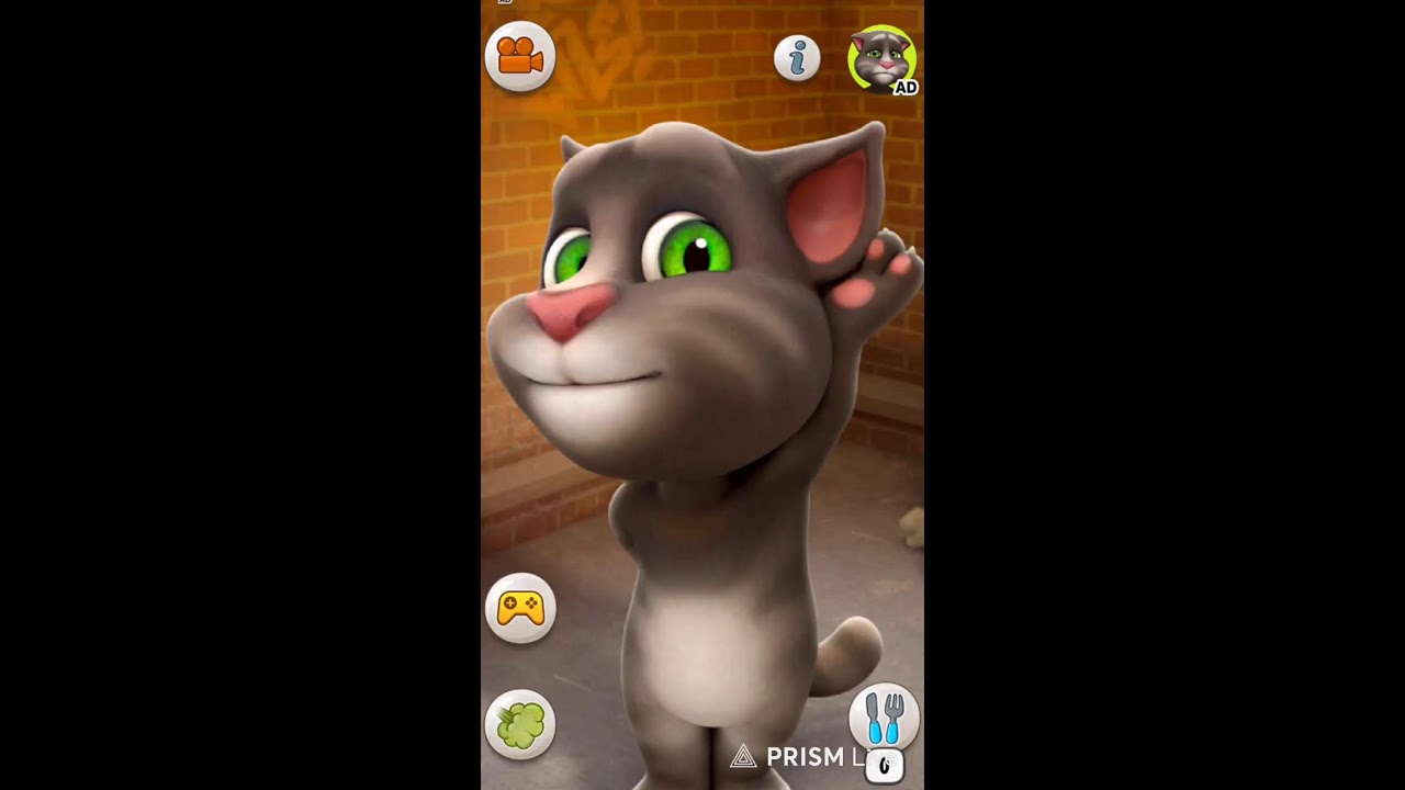 talking tom nice gameplay live stream 😎 - YouTube