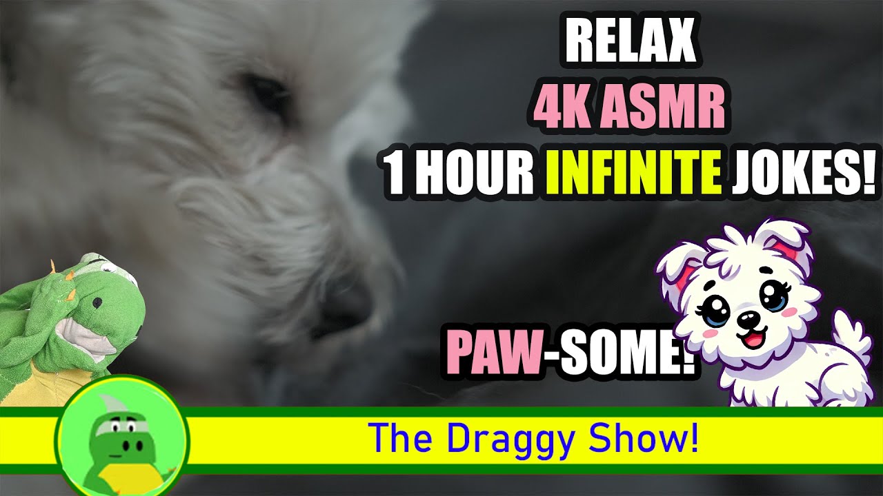 EPIC ASMR | Sleeping Dog With MUSIC! | Infinite Jokes | Caught In 4k ...