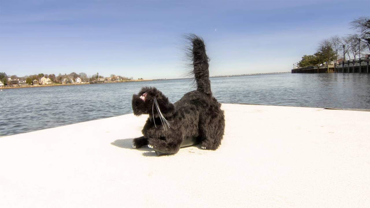 Gull-Cat Bird Deterrent Cat Decoy scares birds - YouTube