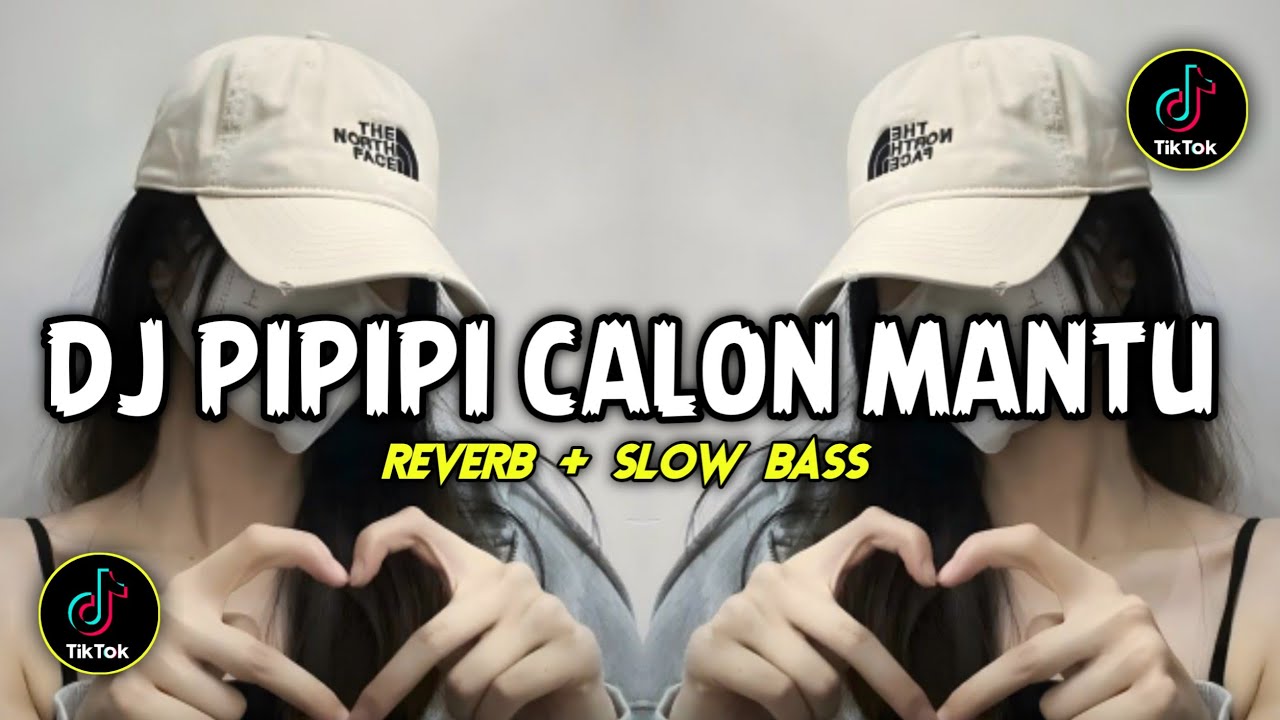 DJ PIPIPI CALON MANTU X KADANG DI KADANG FULL BASS || VIRAL TIK TOK ...