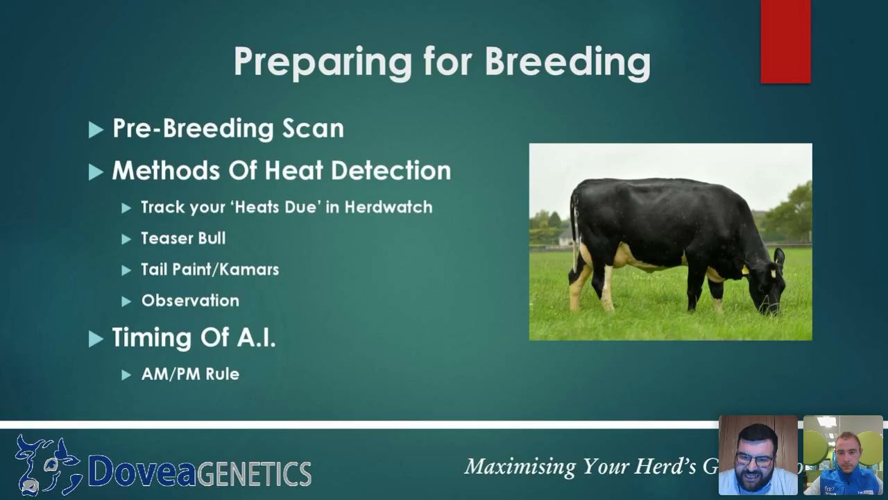 Improve your Breeding Management with Dovea Genetics - YouTube
