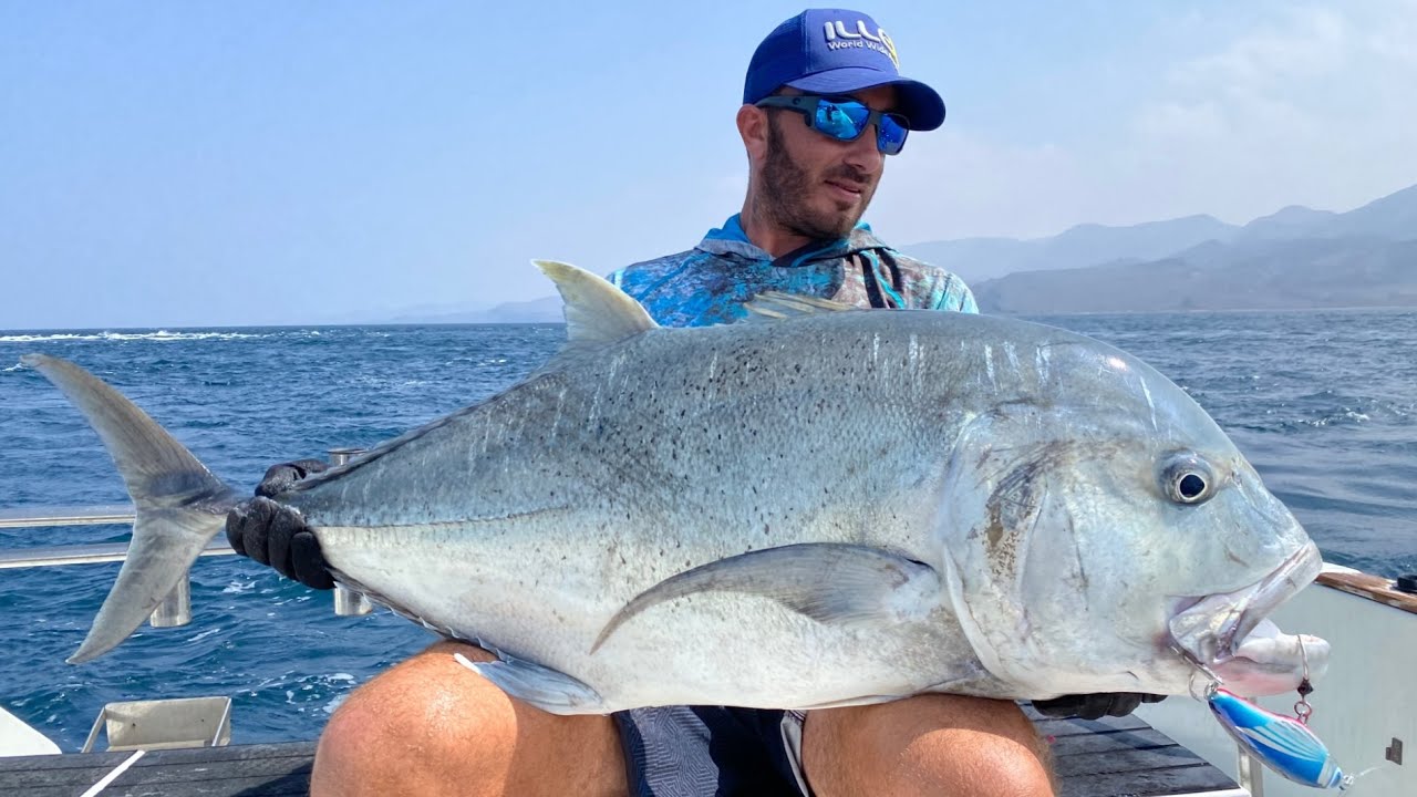 Exo fish in Djibouti with Big GT, grouper, sharks, king mackerel, red ...