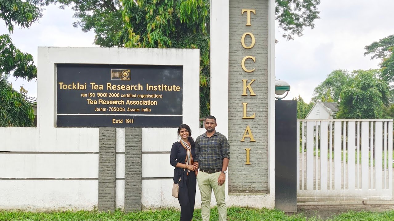 Tocklai Tea Research Institute, Jorhat (Assam), Visit ll चायपत्ती कैसे ...