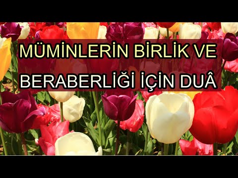 BİRLİK VE BERABERLİK İÇİN DUA- ALLAH'IM, SENİN DOSTLARINLA BİRLEŞTİR KALPLERİMİZİ! ÂMİN!