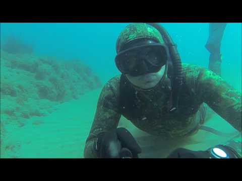 Zıpkınla Karışık Avlar (zargana, minekop, levrek) 18.06.2017