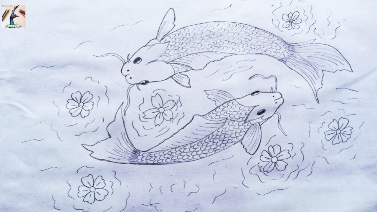 How to draw tow Beautiful Fish in Water Step by step. - YouTube
