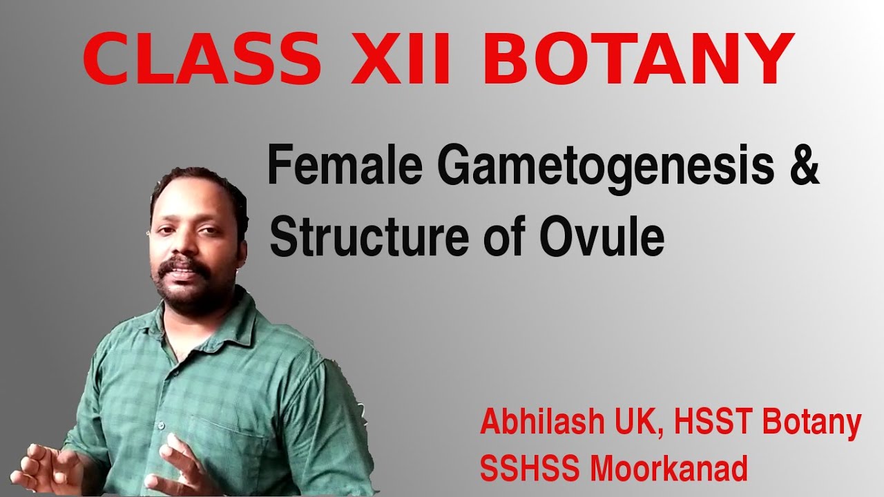 Female Gametogenesis and Structure of Ovule | Botany | Class XII ...