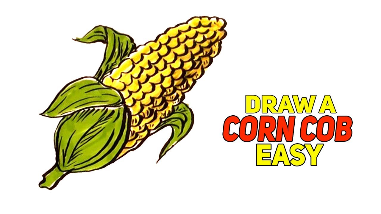 Corn On The Cob Drawing