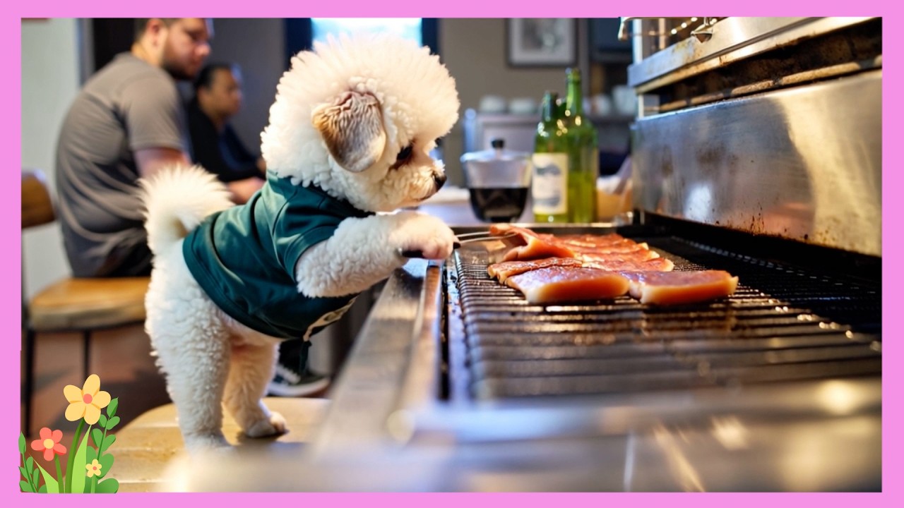 🥹 You’ve Never Seen a Dog Cook Like This Before! | BBQ Bichon - YouTube