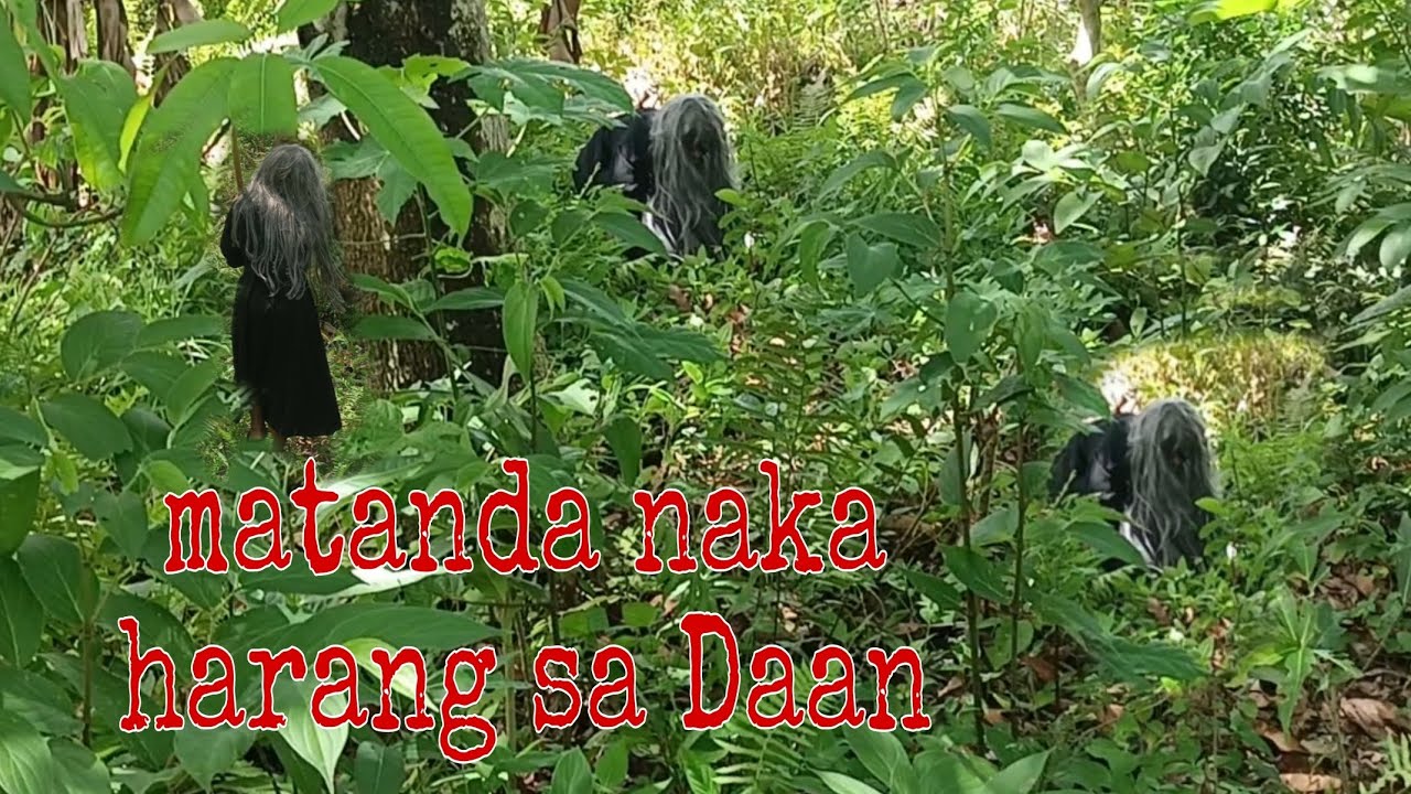Matanda naka harang sa daan @choyenatoghosthunter0322 - YouTube