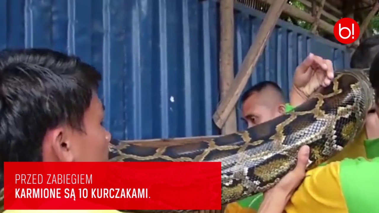 Snake Massage - YouTube