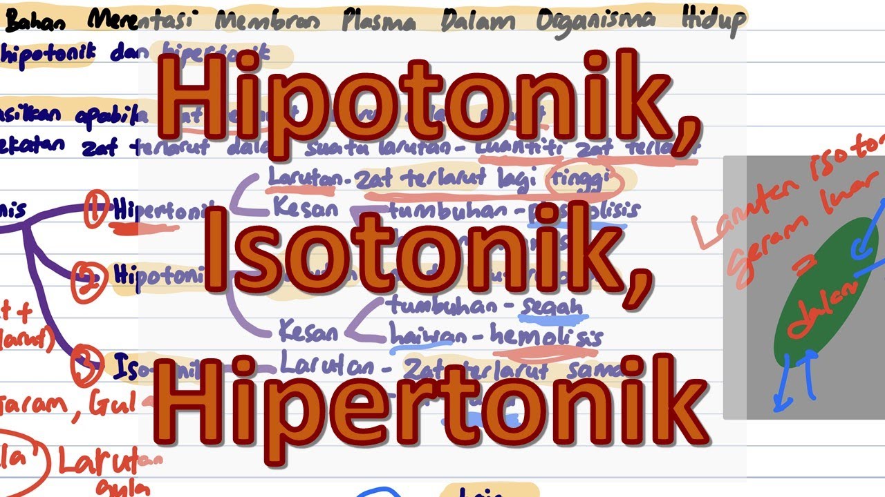 Larutan hipotonik, hipertonik, isotonik | Biologi T4 - YouTube