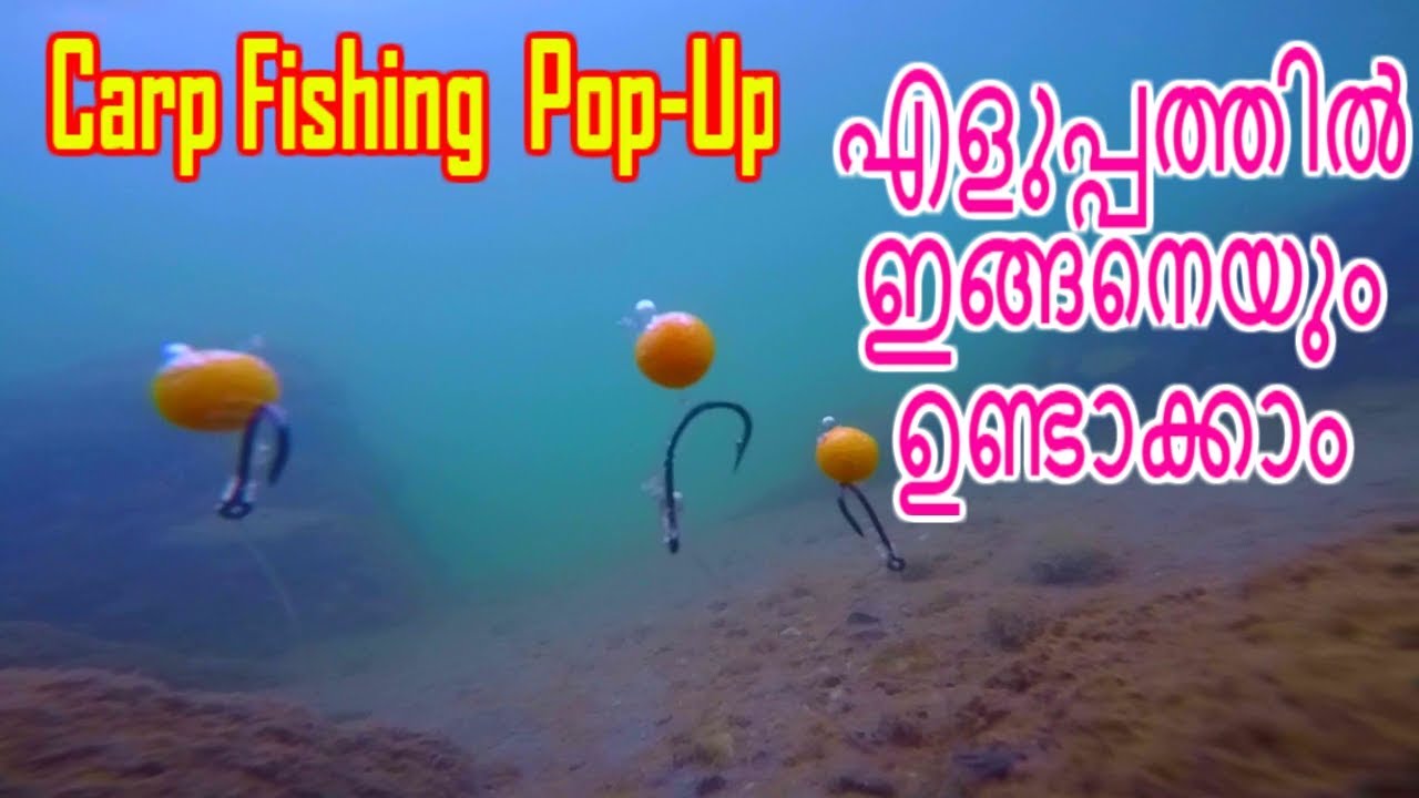 How To Make Carp Fishing Pop Up At Home Easy Way How To Make Carp Fishing Pop Up At Home Easy Way