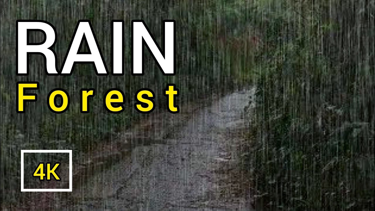 Beautiful Rain ASMR in Nature, Relaxing Stream Sounds, Rainforest ...