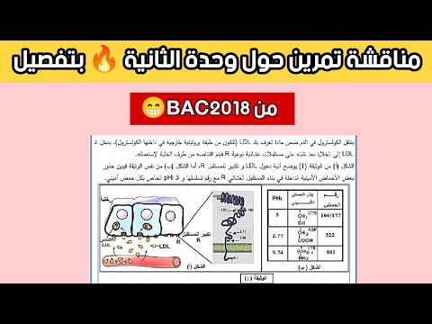 العودة بقوة🔥مناقشة تمرينBAC2018 حول وحدة الثانية😌تعلم منهجية الاجابة - YouTube