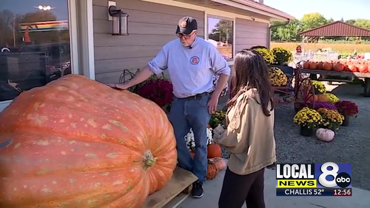 2,000-pound pumpkin in Wisconsin - YouTube