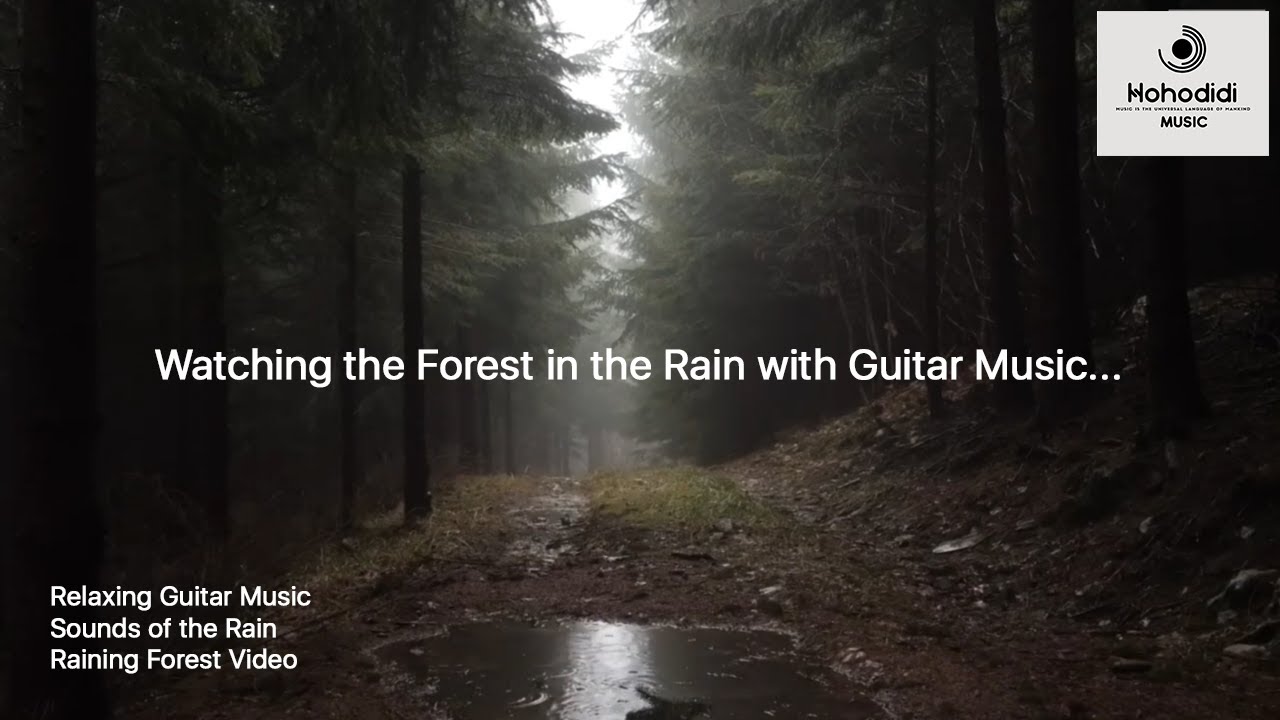 Relaxing acoustic guitar music in the raining forest - YouTube