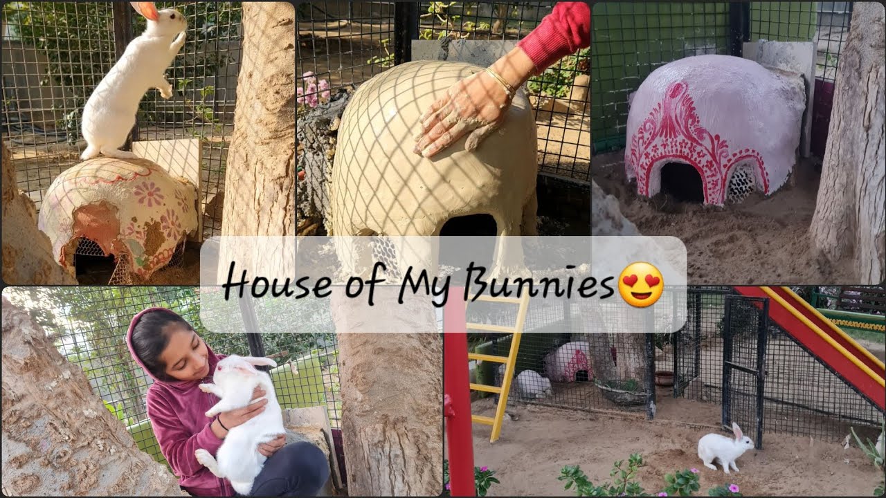 Rabbit House | House of My Bunnies | For Rabbit Lovers | Rabbit Care # ...