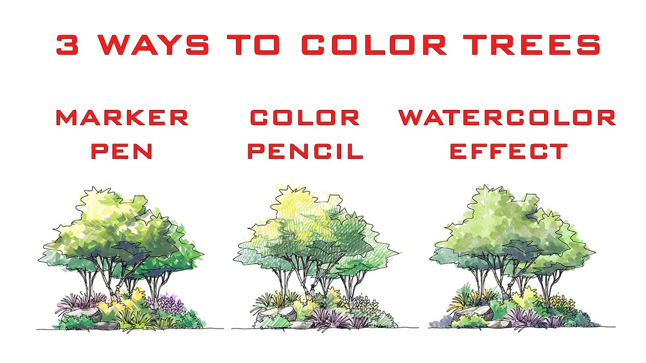 3 WAYS TO COLOR/RENDER TREES IN CONCEPTS APP - Timelapse - ipad Pro ...