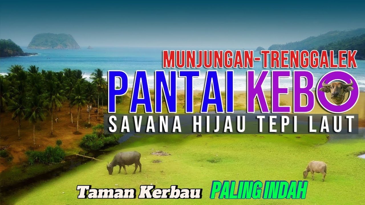 PANTAI KEBO-MUNJUNGAN TRENGGALEK 2024 || PADANG RUMPUT HIJAU TEPI LAUT ...