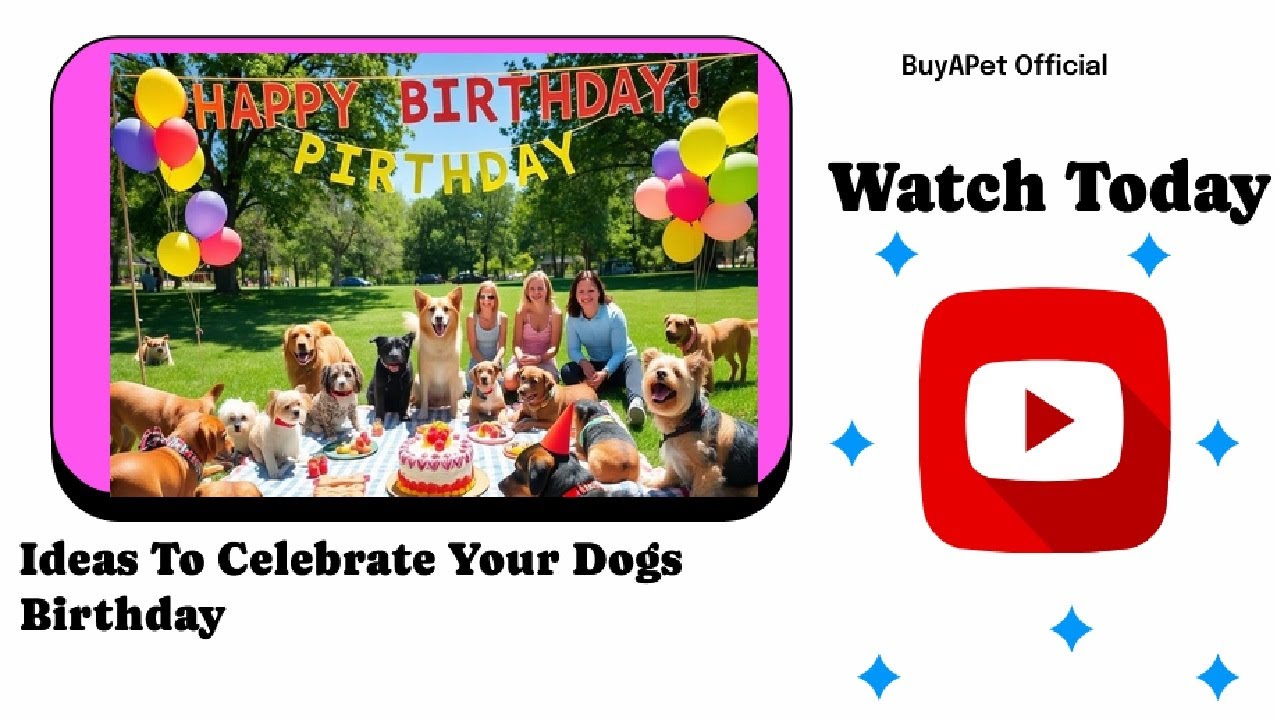 “Pawsitively Amazing Ways to Celebrate Your Dog's Birthday! 🐾🎉” - YouTube