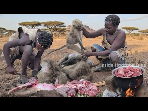 Hadzabe Tribe Hunting Successfully | Traditional Hunting Baboons In Africa