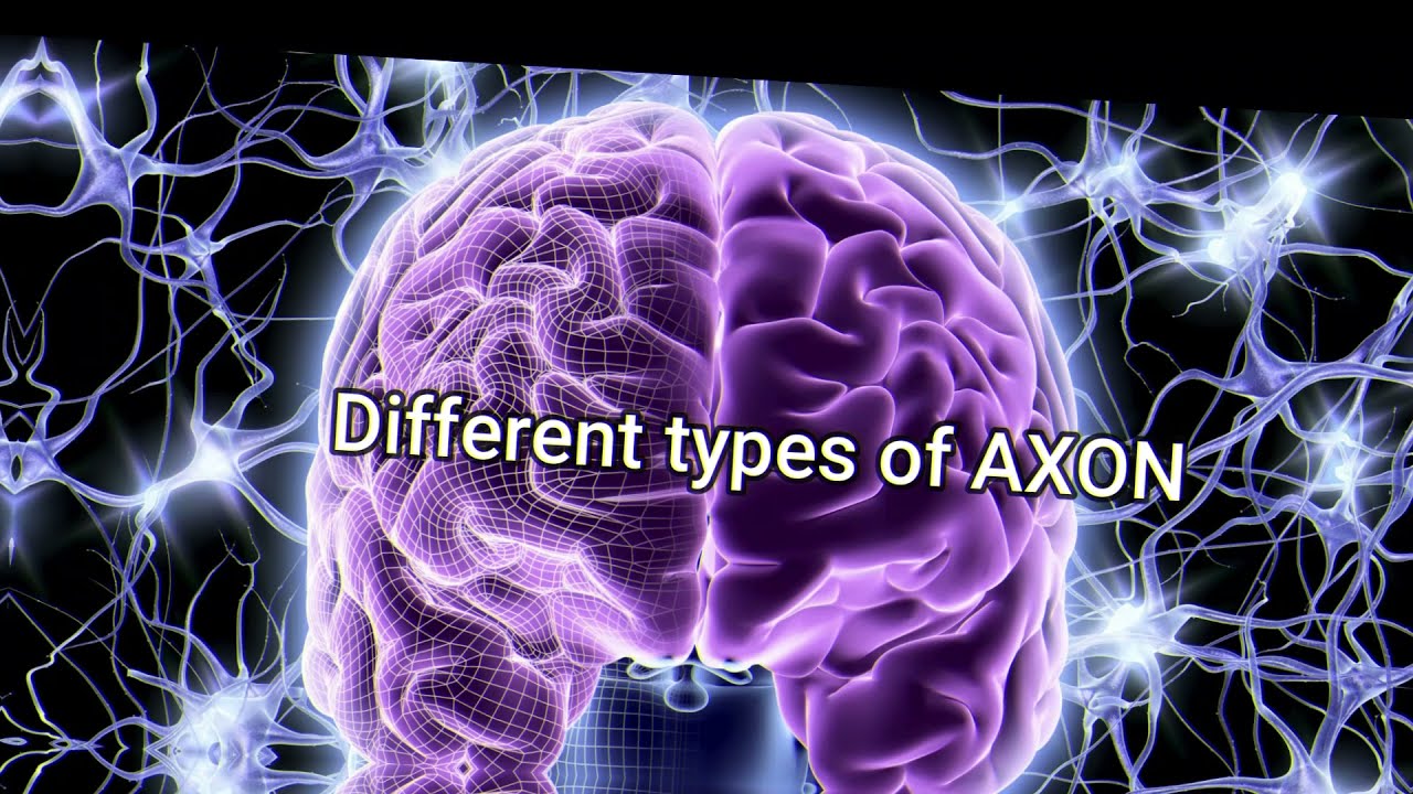 Different types of axon - YouTube