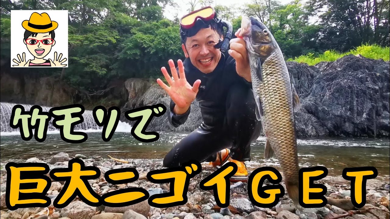 ★竹モリで川魚とり★ Catch a fish with a bamboo harpoon - YouTube