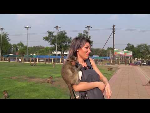 Tayland Lopburi de Hırsız Maymunlar Bana Saldırdı :) #Vlog