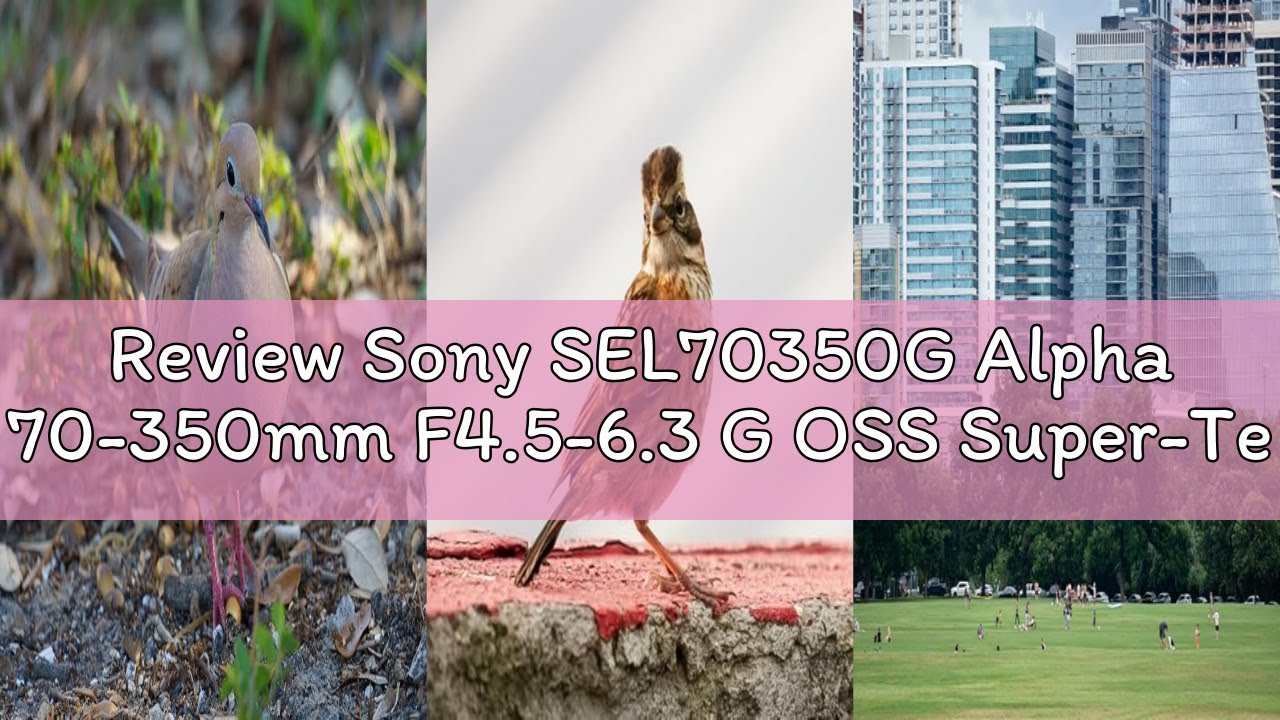 Review Sony SEL70350G Alpha 70-350mm F4.5-6.3 G OSS Super-Telephoto APS ...