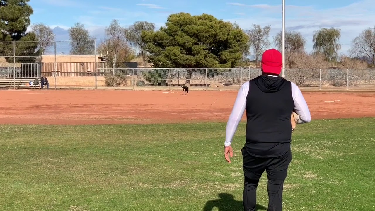 Retriever training baseball field drills - YouTube