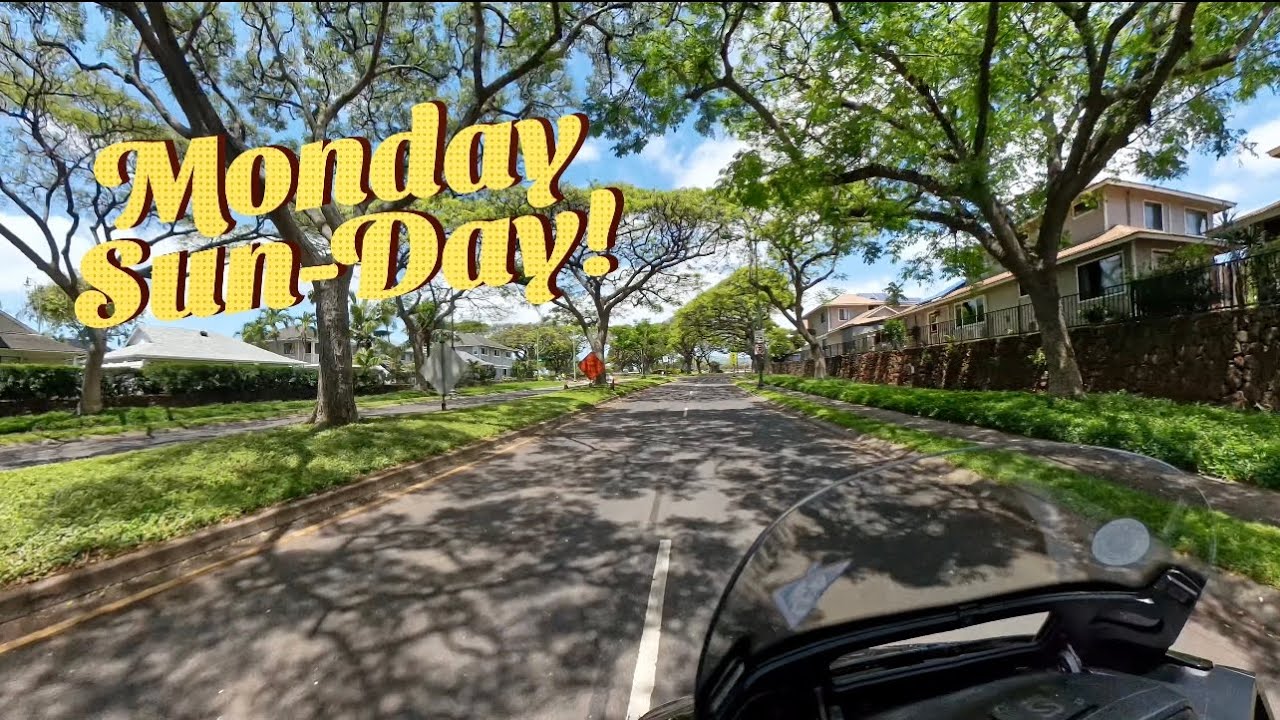 Monday Sun-Day! 🌞 - YouTube